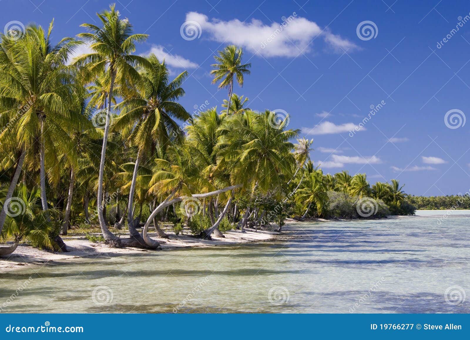 Cook Islands - Tropical Paradise - South Pacific Stock Image - Image of ...