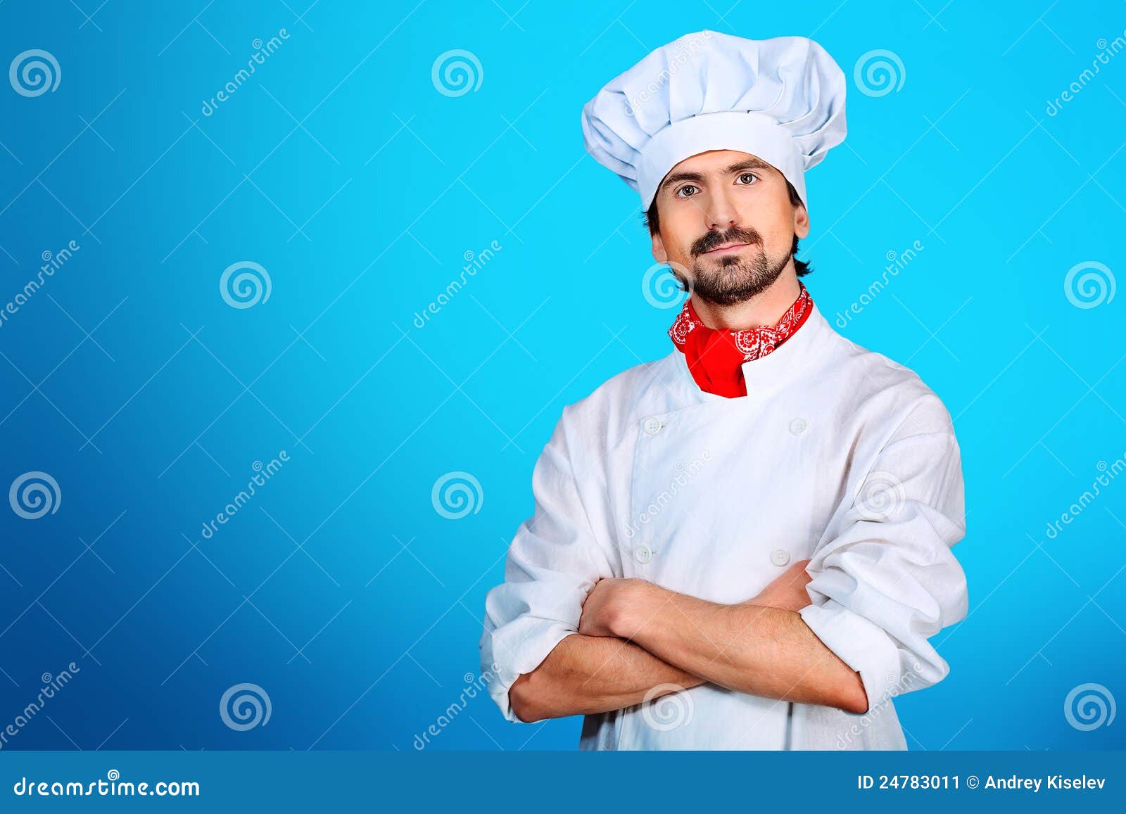 Cook man stock image. Image of portrait, food, gourmet - 24783011