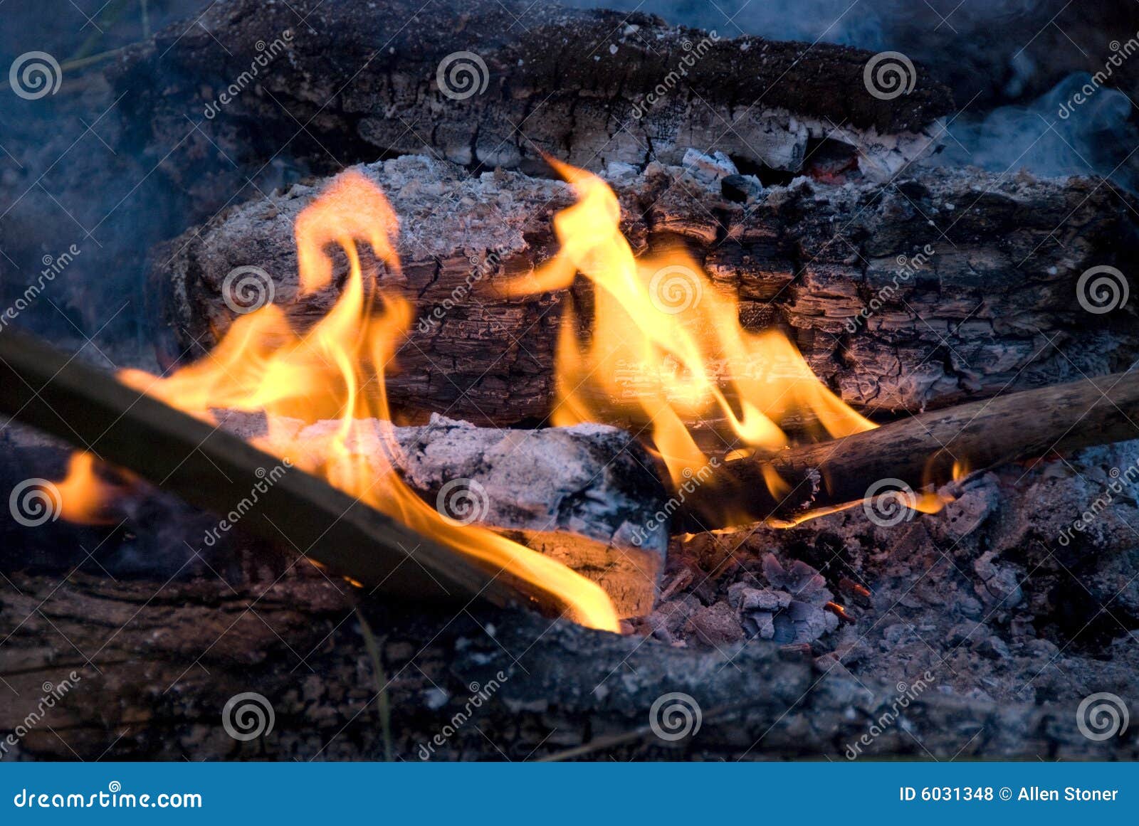 Cook out fire stock photo. Image of nature, smoke, rough - 6031348