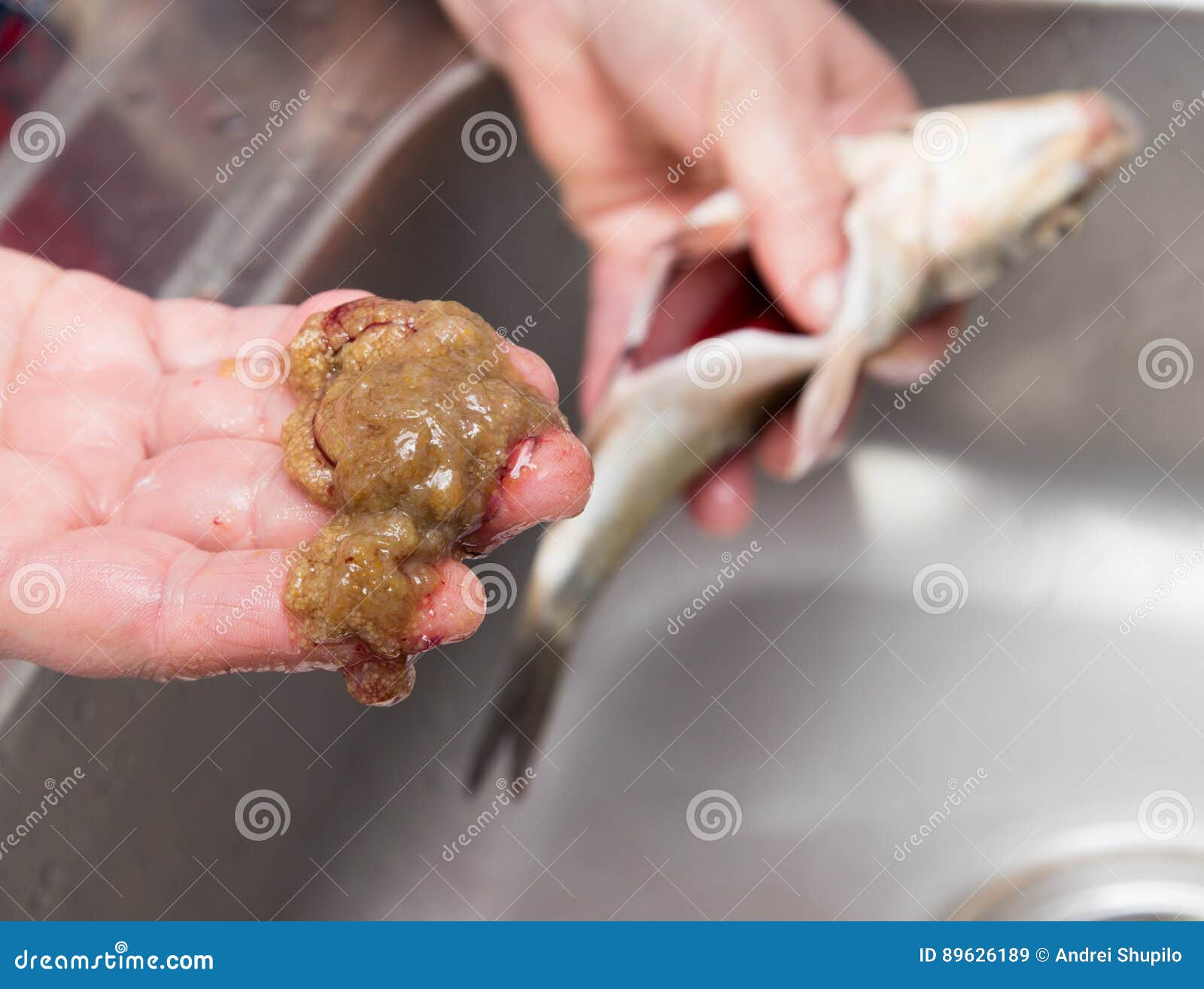 The Cook Pulls the Guts Out of the Fish Stock Image - Image of cook ...
