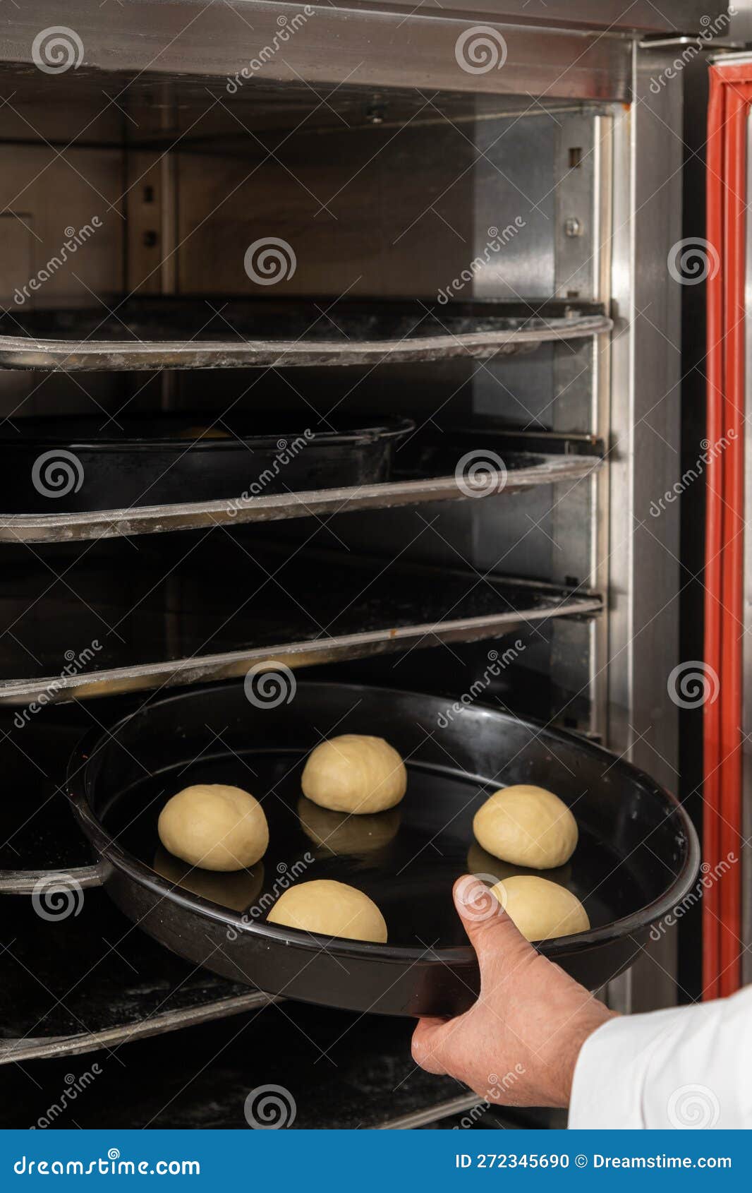 Cook Putting Dough for Hamburger Buns in Professional Leavening Machine ...
