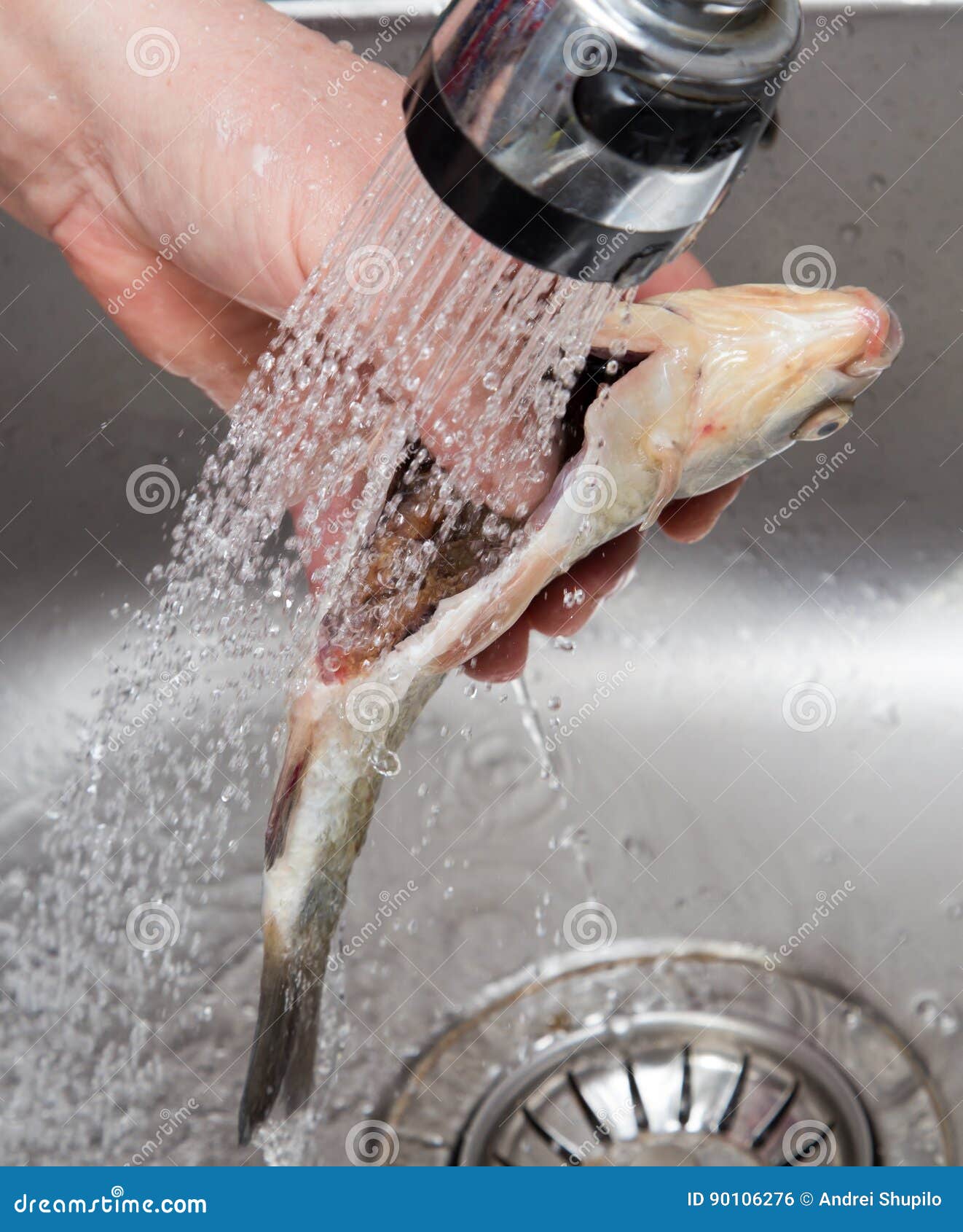 The Cook Washes the Fish in the Water Stock Photo - Image of cook ...