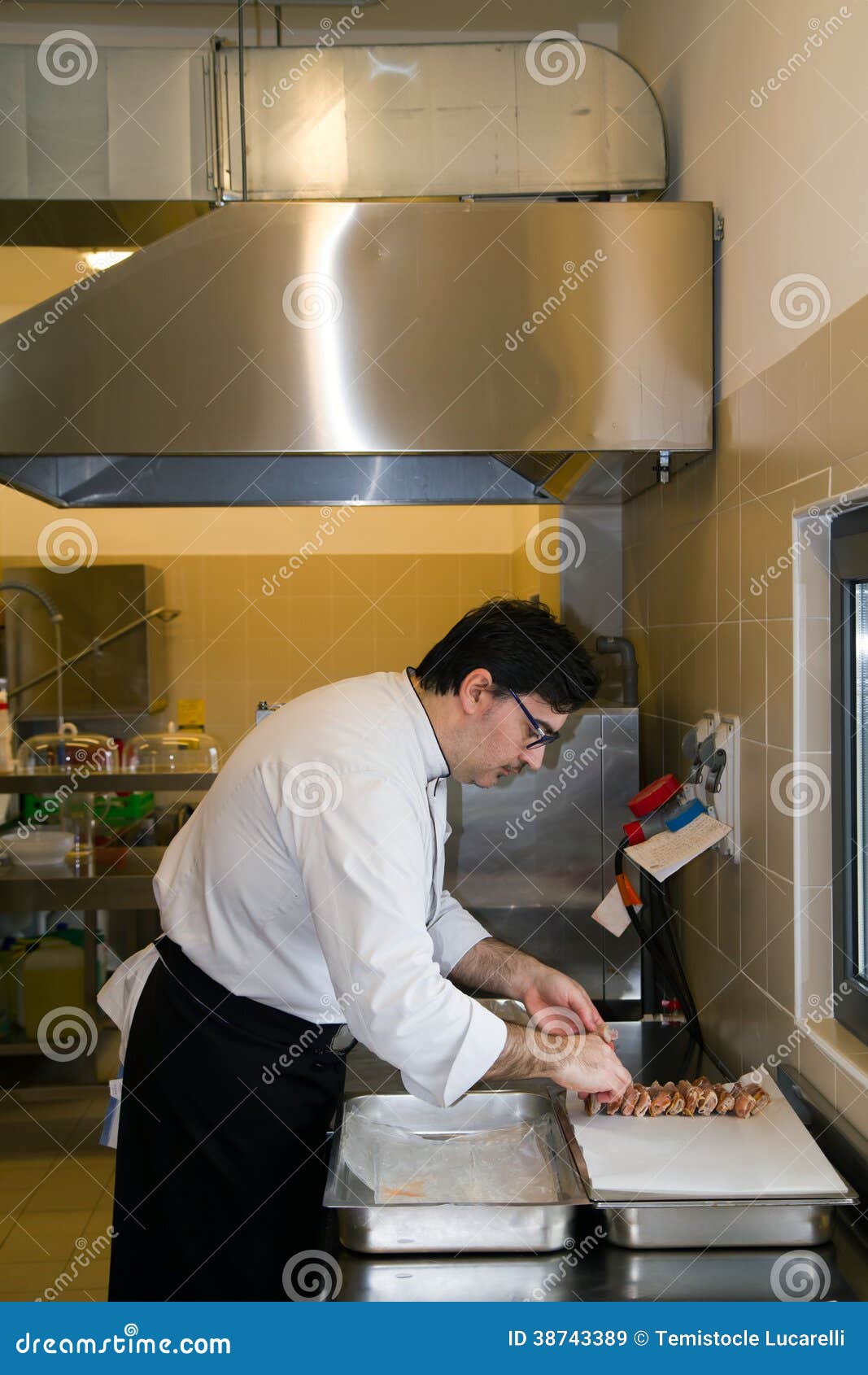 Cook stock image. Image of decoration, cook, person, dish - 38743389