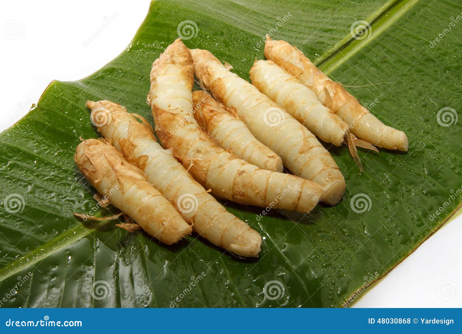 Cooked asian roots stock photo. Image of ready, leaf - 48030868