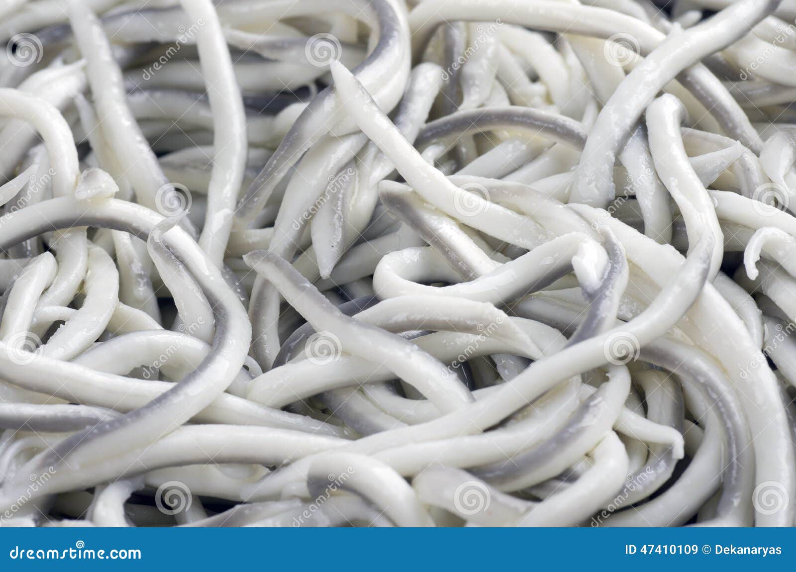 Cooked baby eel. stock image. Image of cooking, dinner - 47410109