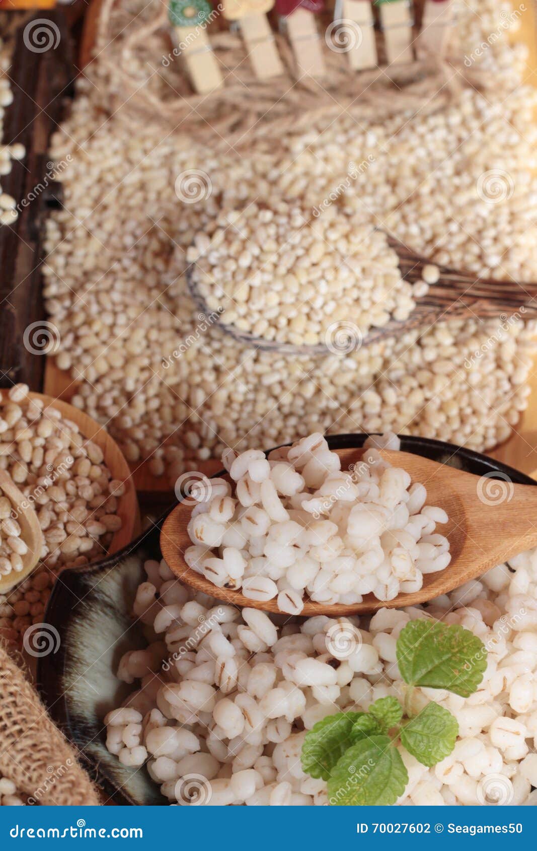 Cooked Barley for Health and Raw Barley. Stock Photo - Image of ...