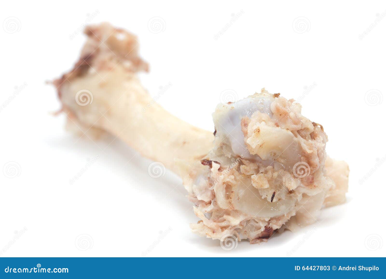 Cooked bones stock image. Image of stack, cooked, bone - 64427803