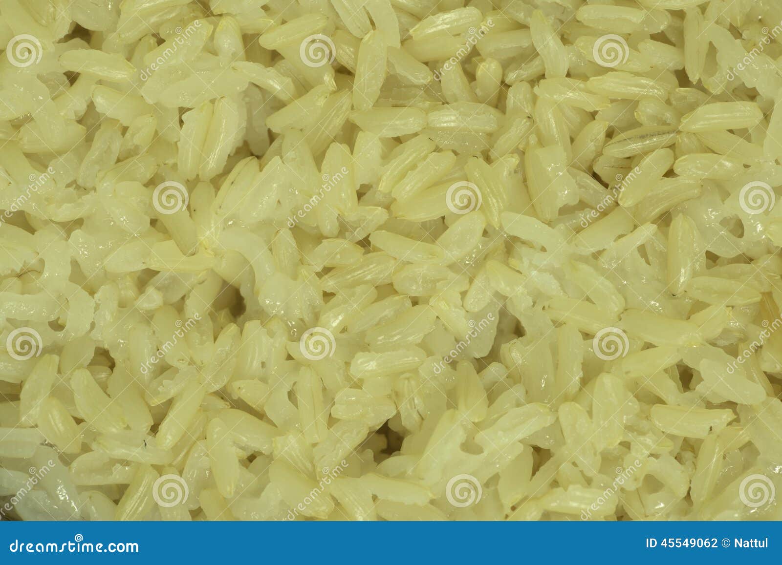 Cooked brown rice stock photo. Image of brown, asian - 45549062