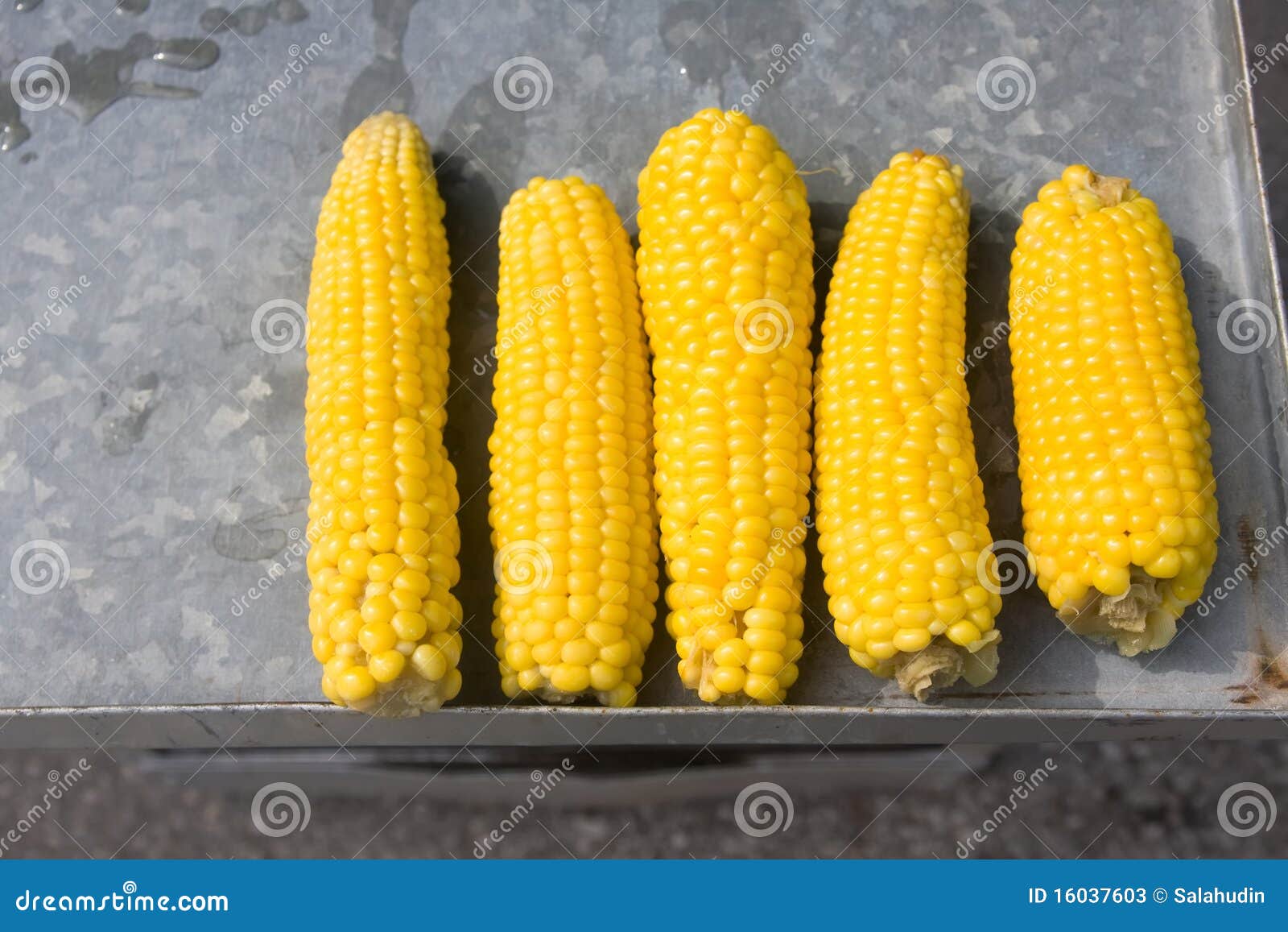 Cooked corn stock image. Image of corn, feed, ripeness - 16037603