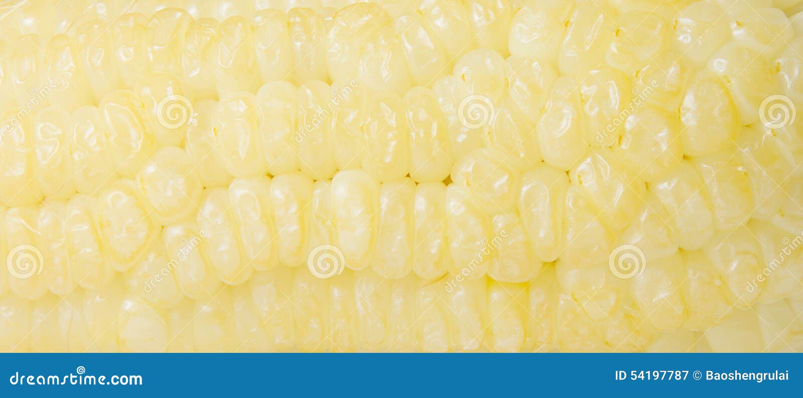 Cooked corn stock image. Image of healthy, food, gold - 54197787