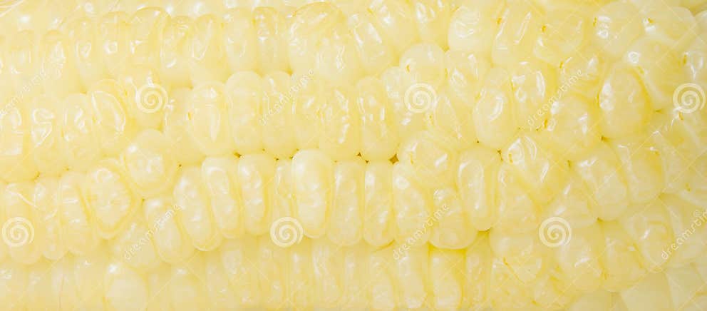 Cooked corn stock image. Image of healthy, food, gold - 54197787