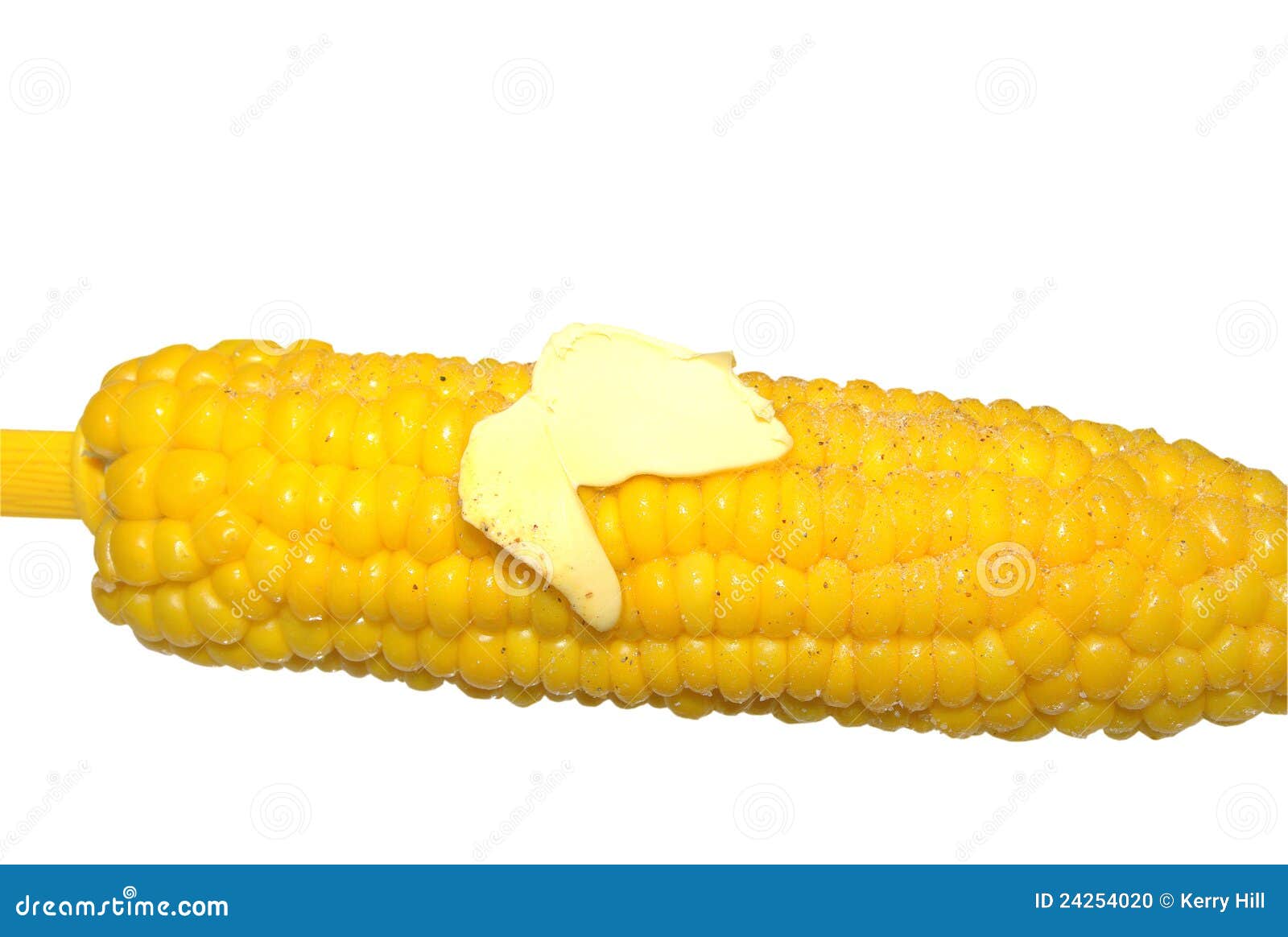 Cooked corn on the cob stock photo. Image of natural - 24254020