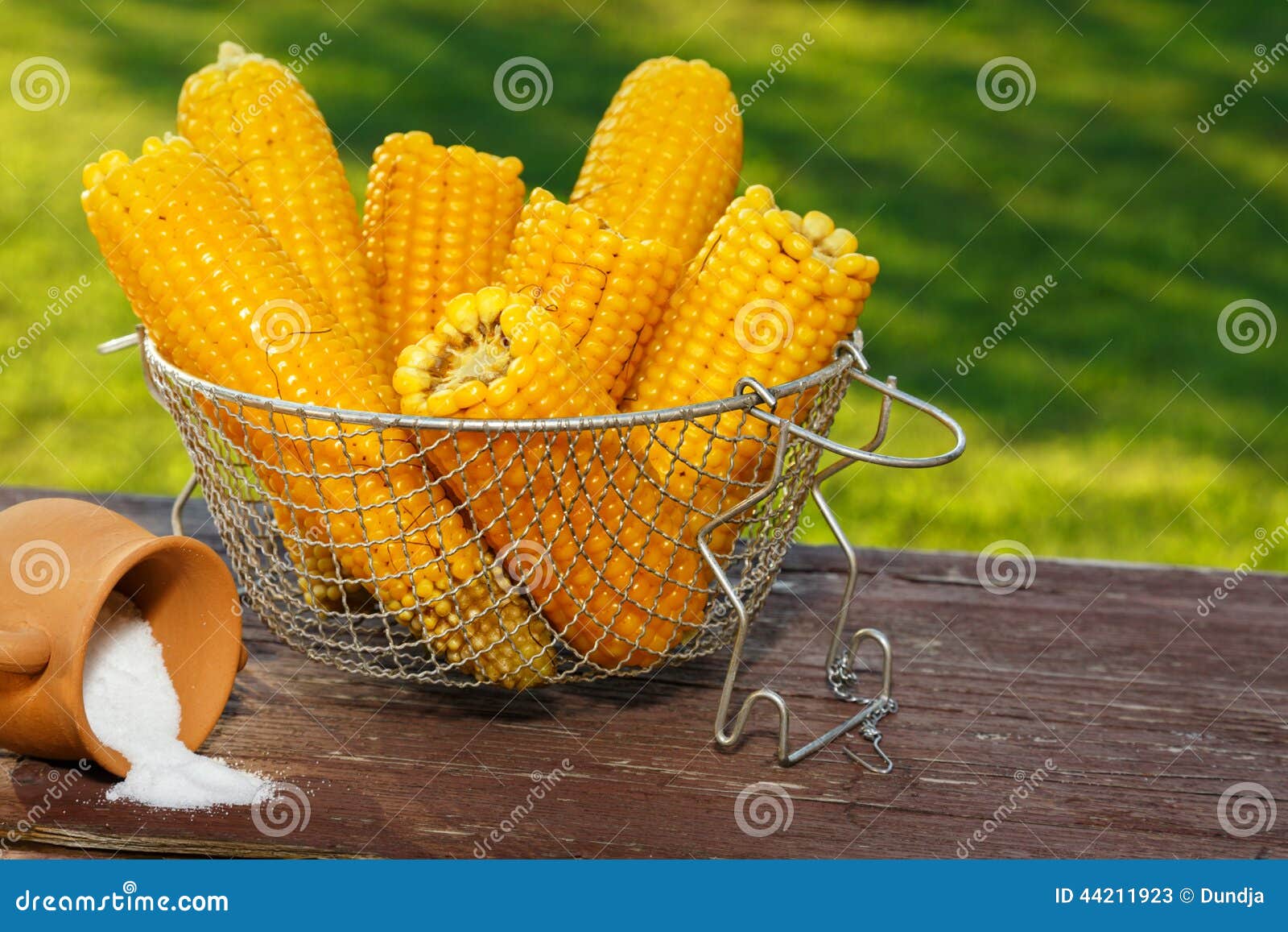 Cooked corn stock image. Image of natural, salt, fresh - 44211923