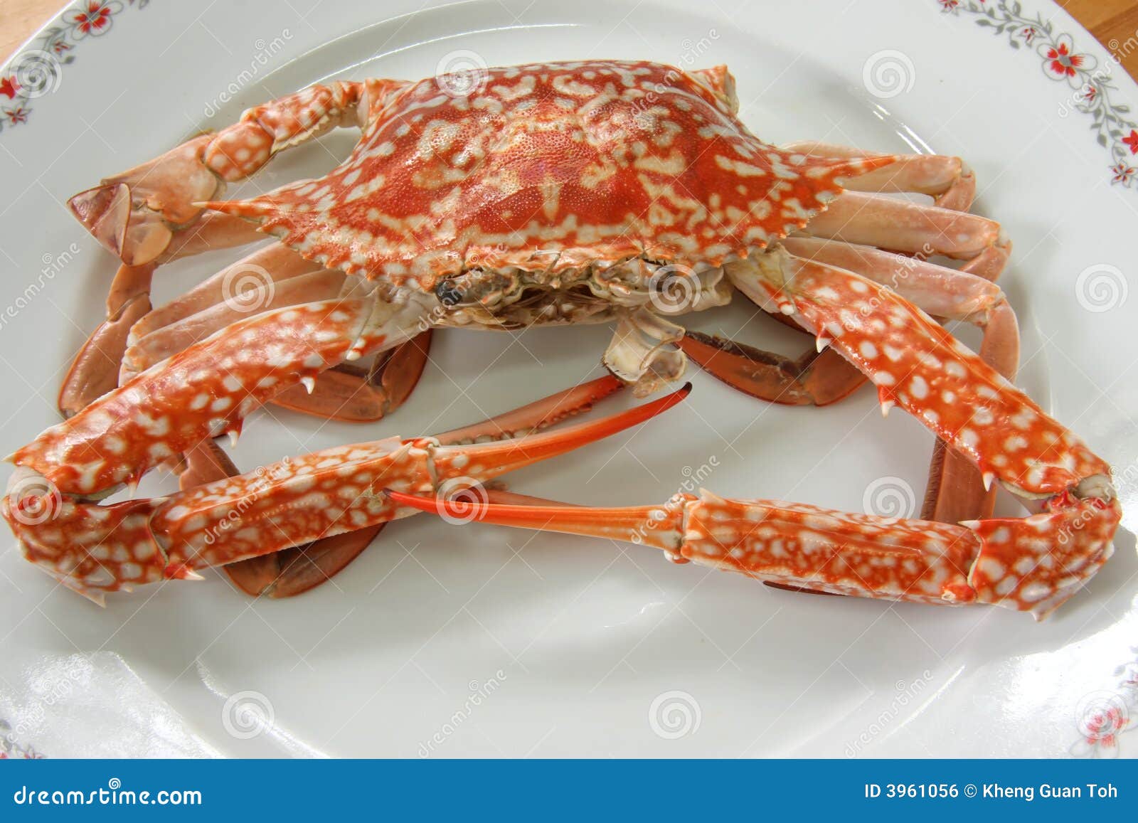 Cooked crab stock photo. Image of steamed, aquatic, legs - 3961056
