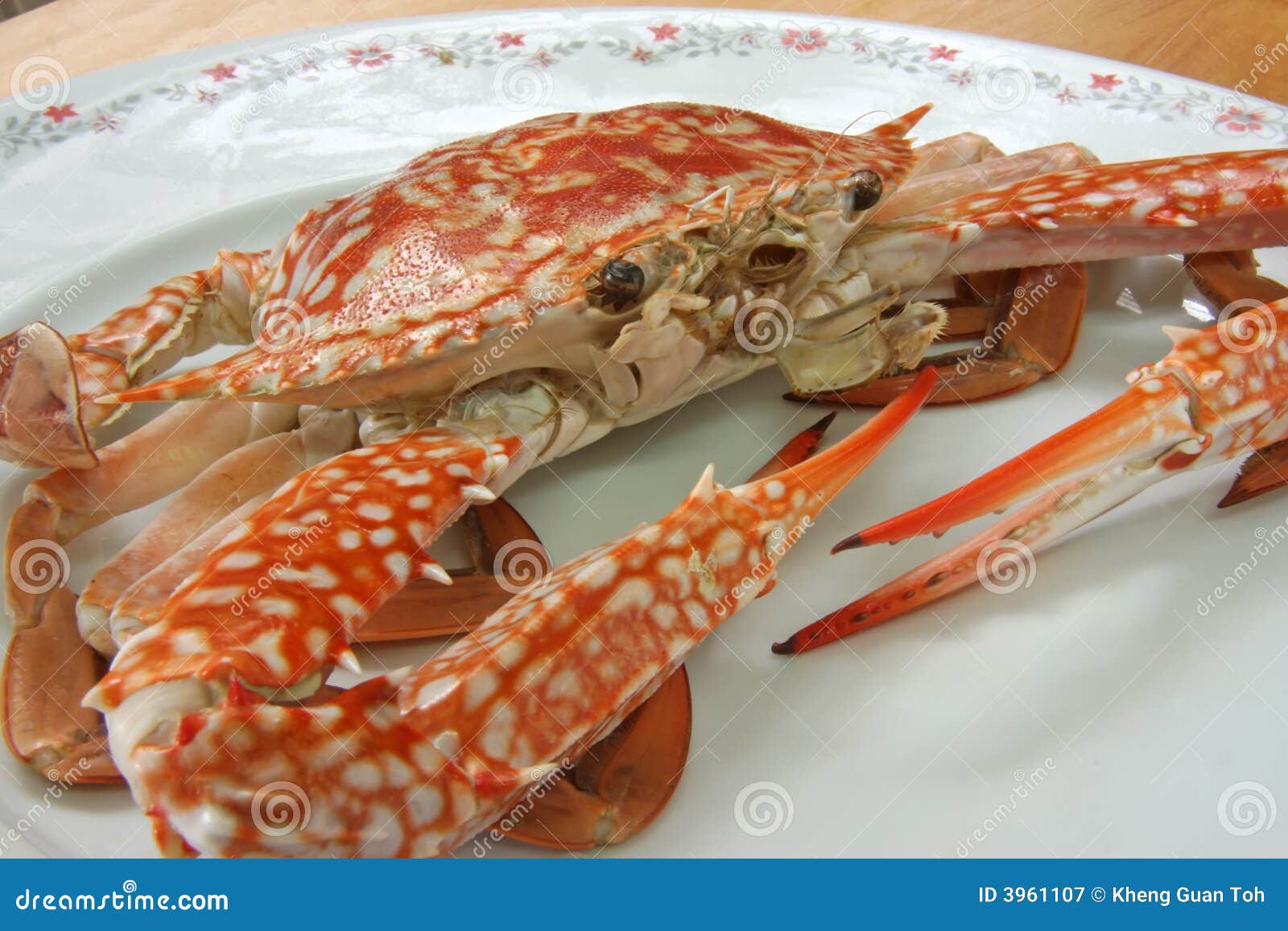 Cooked crab stock image. Image of cook, king, crab, delicacy - 3961107