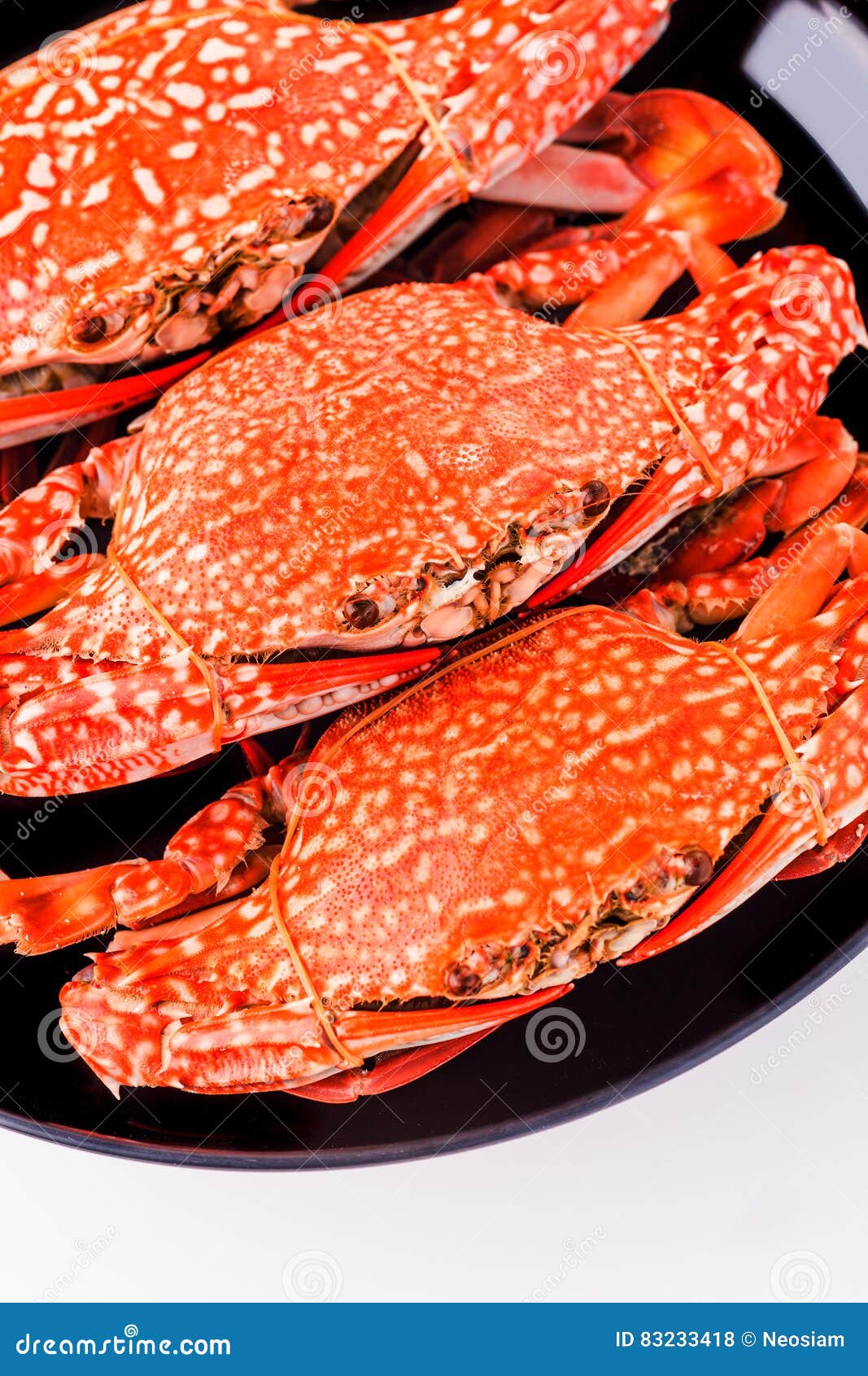 Cooked crab stock photo. Image of orange, cooked, crab - 83233418