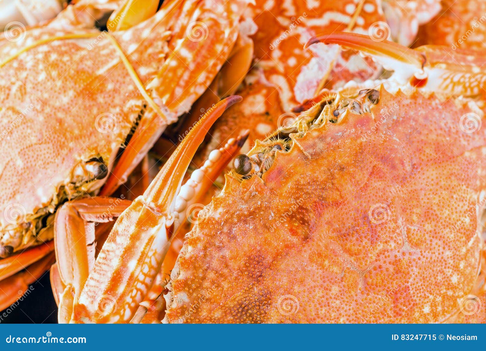 Cooked crab stock image. Image of crustacean, garnish - 83247715