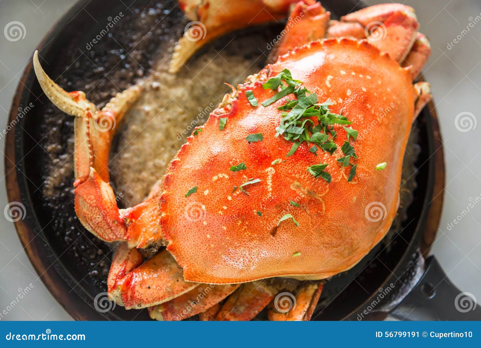 Cooked crab stock image. Image of view, seafood, crab - 56799191