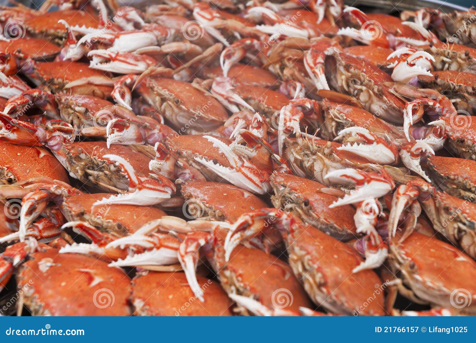 Cooked Crabs stock image. Image of texture, seasoned - 21766157