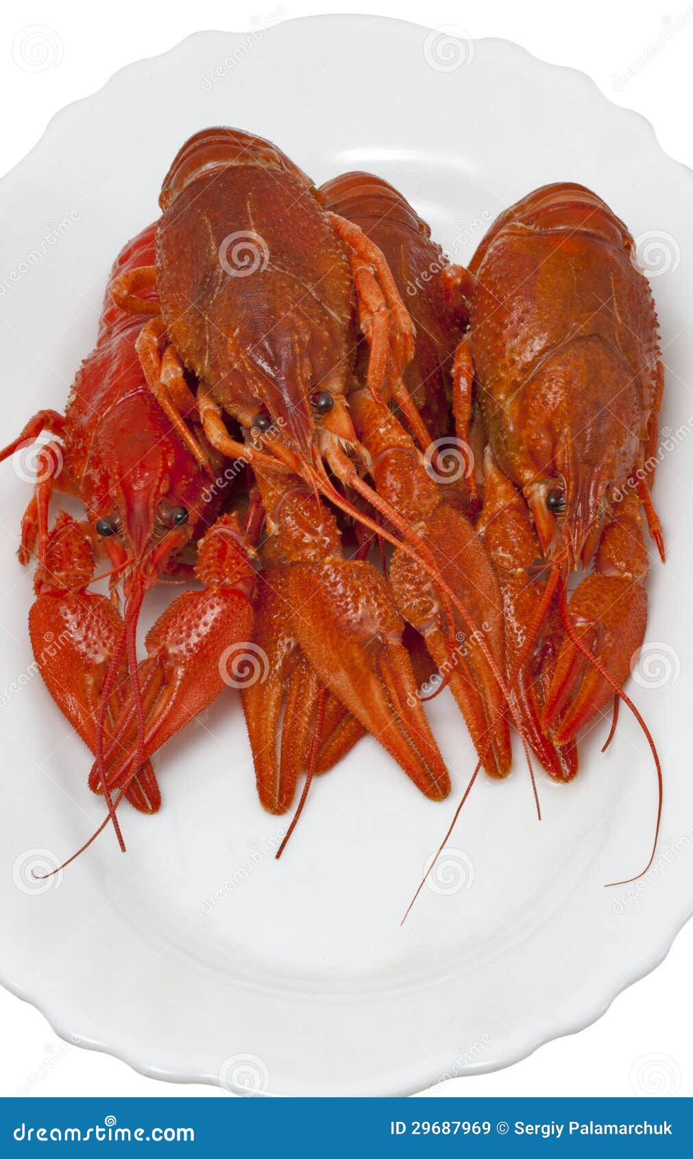 Cooked Crawfish Group Closeup Stock Image - Image of horizontal ...