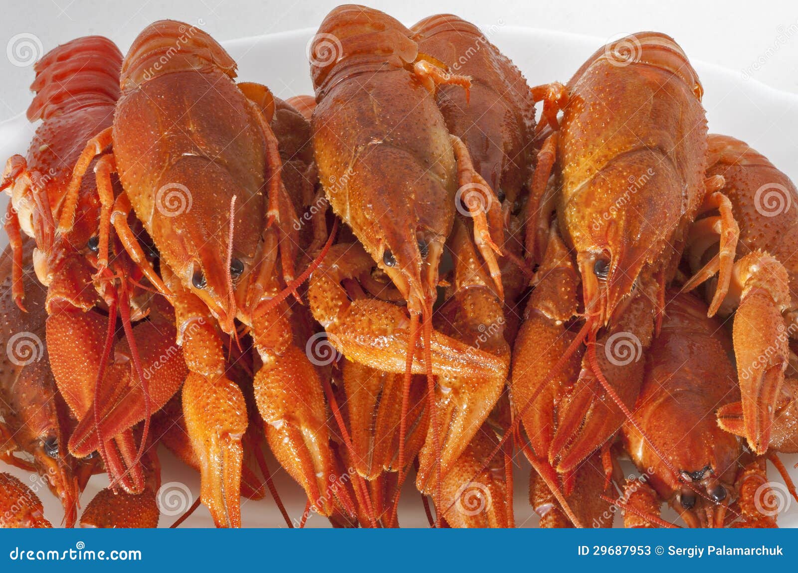 Cooked Crawfish Pile Closeup Stock Image - Image of colorful, closeup ...