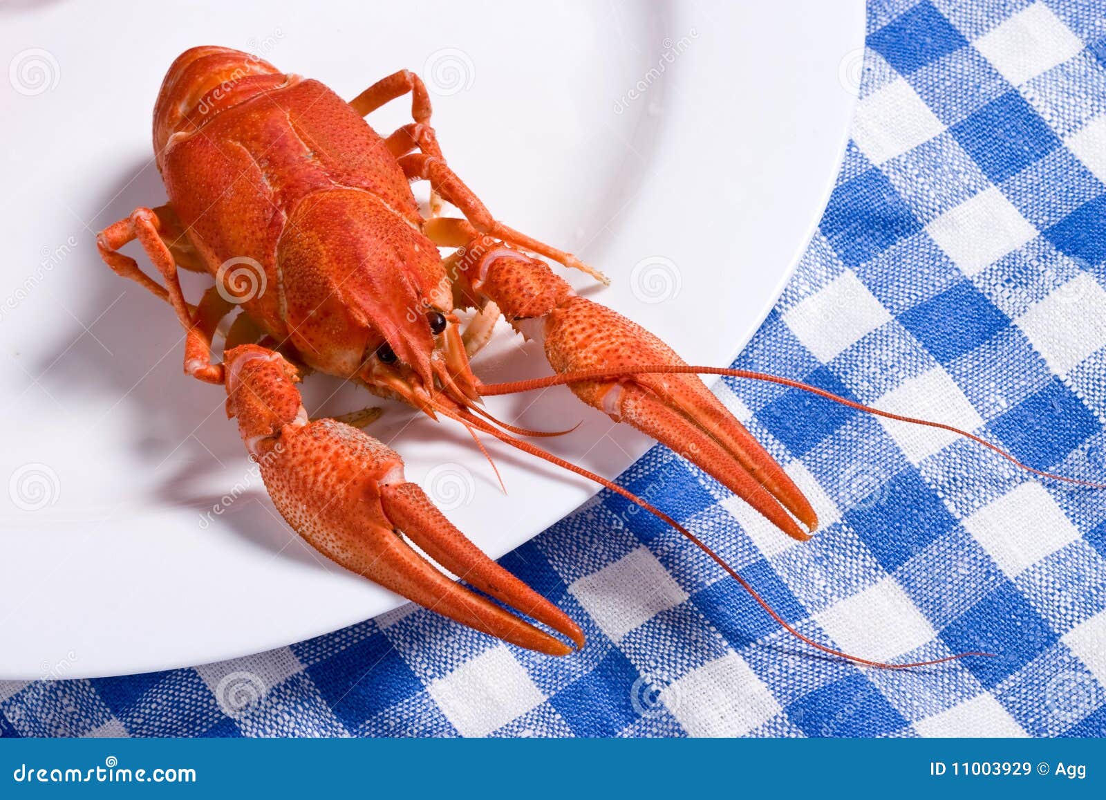 Cooked crayfish stock image. Image of plate, food, appetizing - 11003929