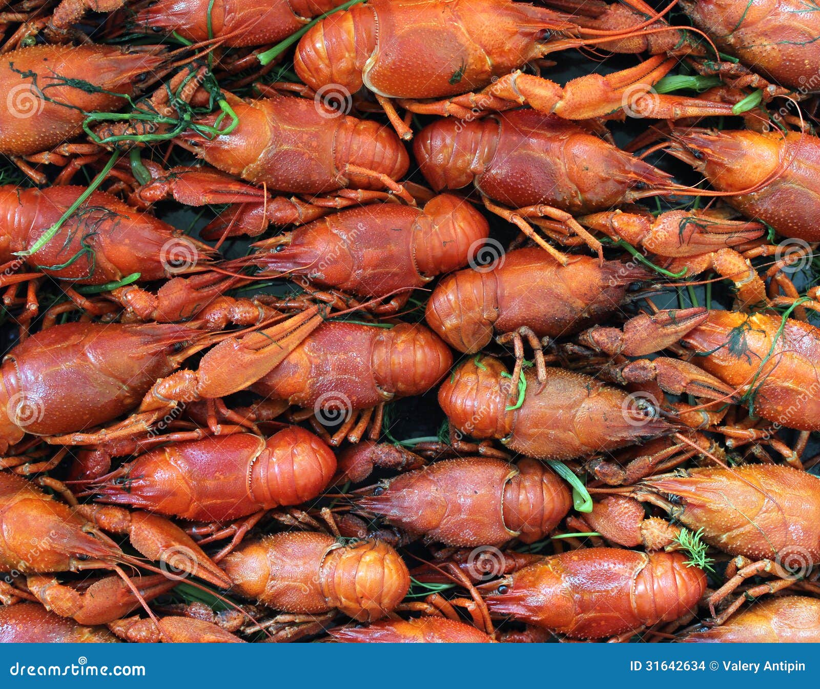 Cooked crayfish stock photo. Image of seafood, objects - 31642634