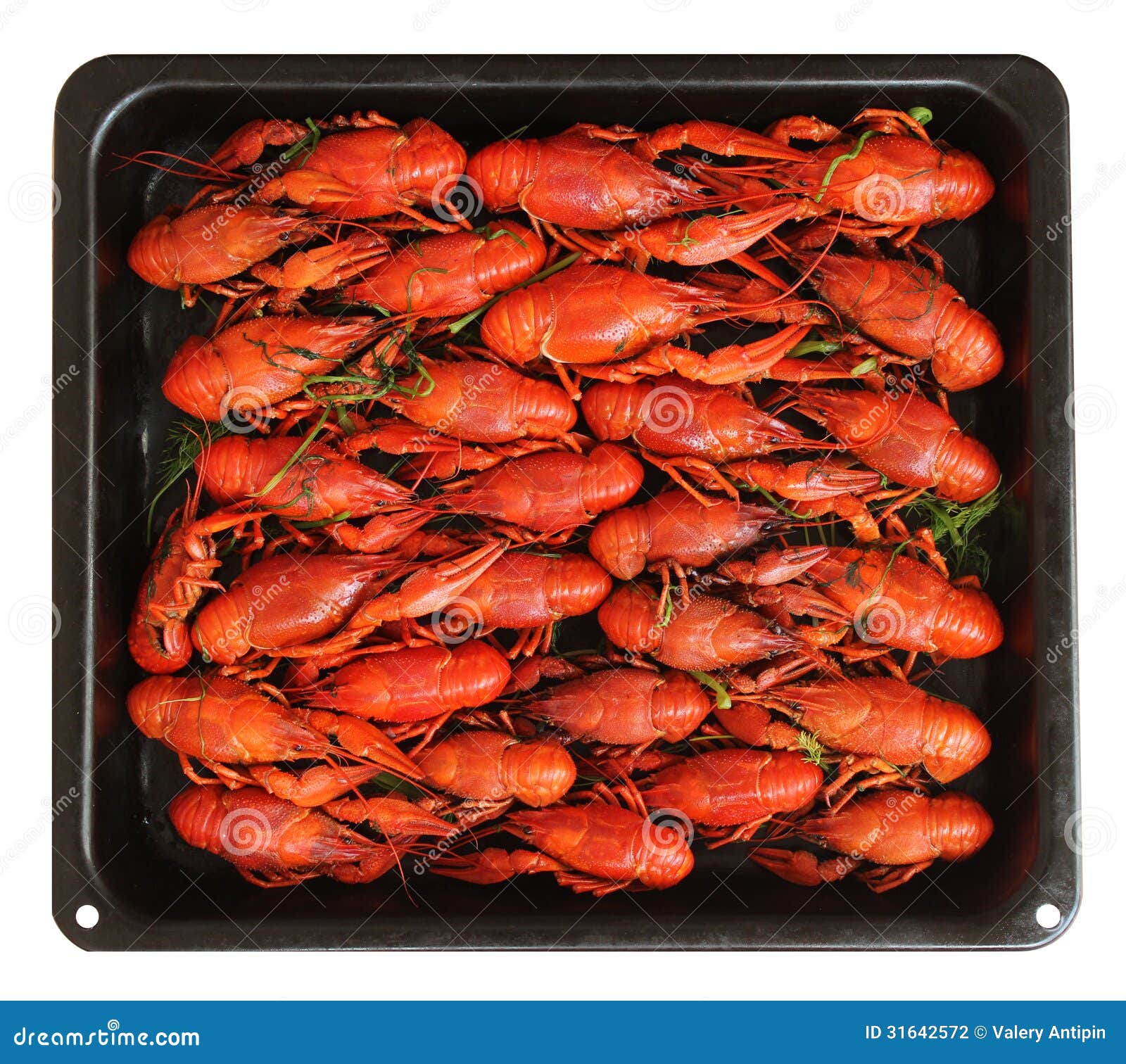 Cooked crayfish stock photo. Image of cuisine, isolated - 31642572