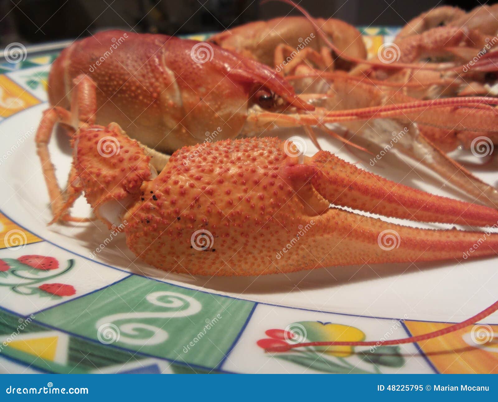 Cooked crayfish stock image. Image of boiled, ready, lemon - 48225795