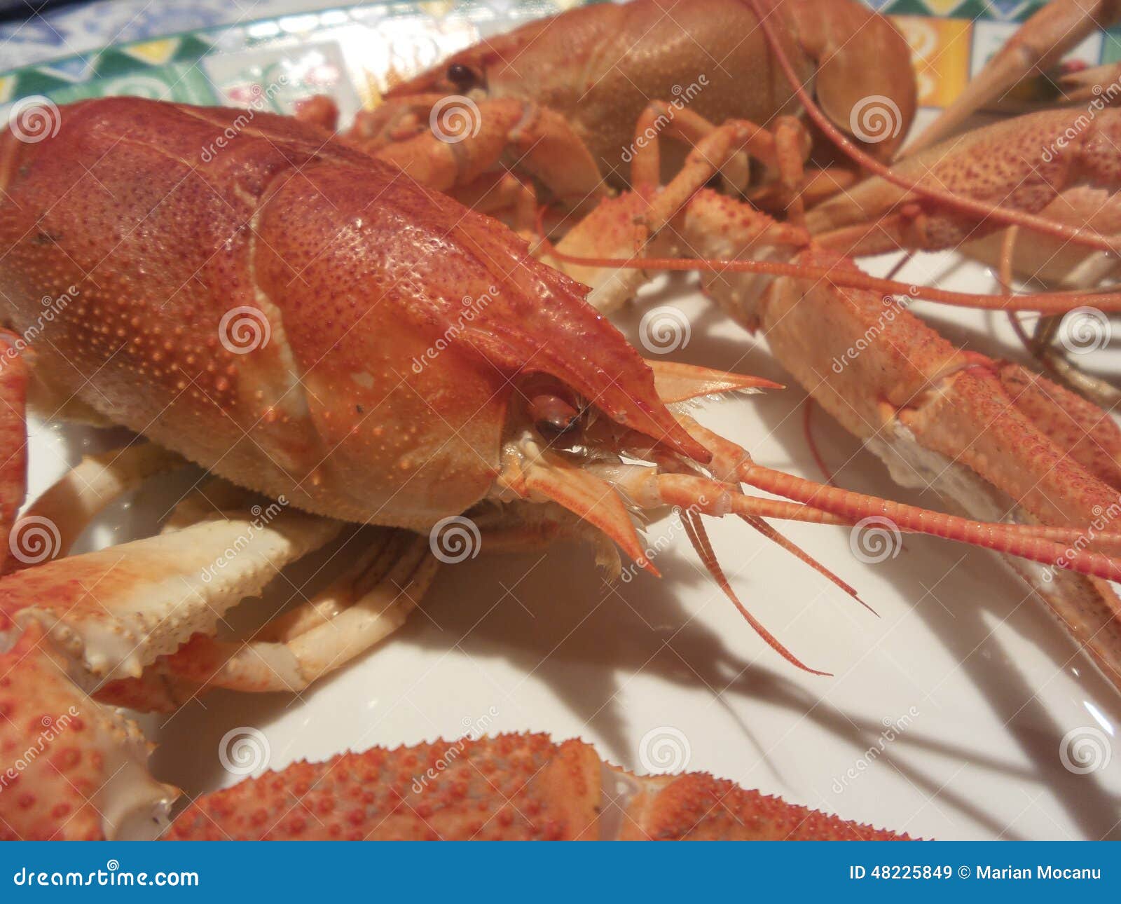 Cooked crayfish stock image. Image of fresh, plate, cooking - 48225849