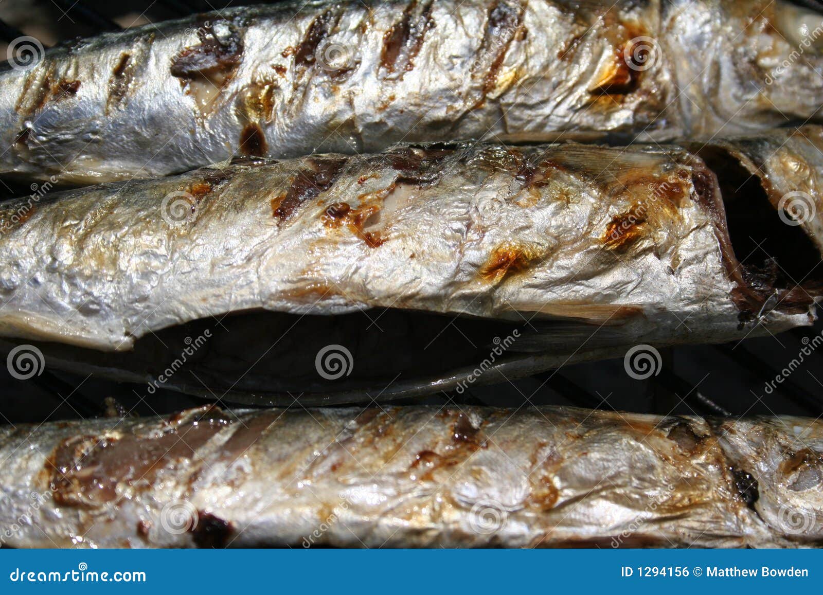 Cooked Fish stock photo. Image of grill, trout, fish, cooked - 1294156