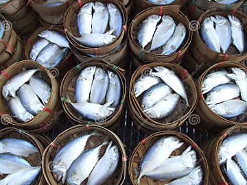 Cooked Fish in Barrels, Thailand. Stock Photo - Image of silver, fresh ...