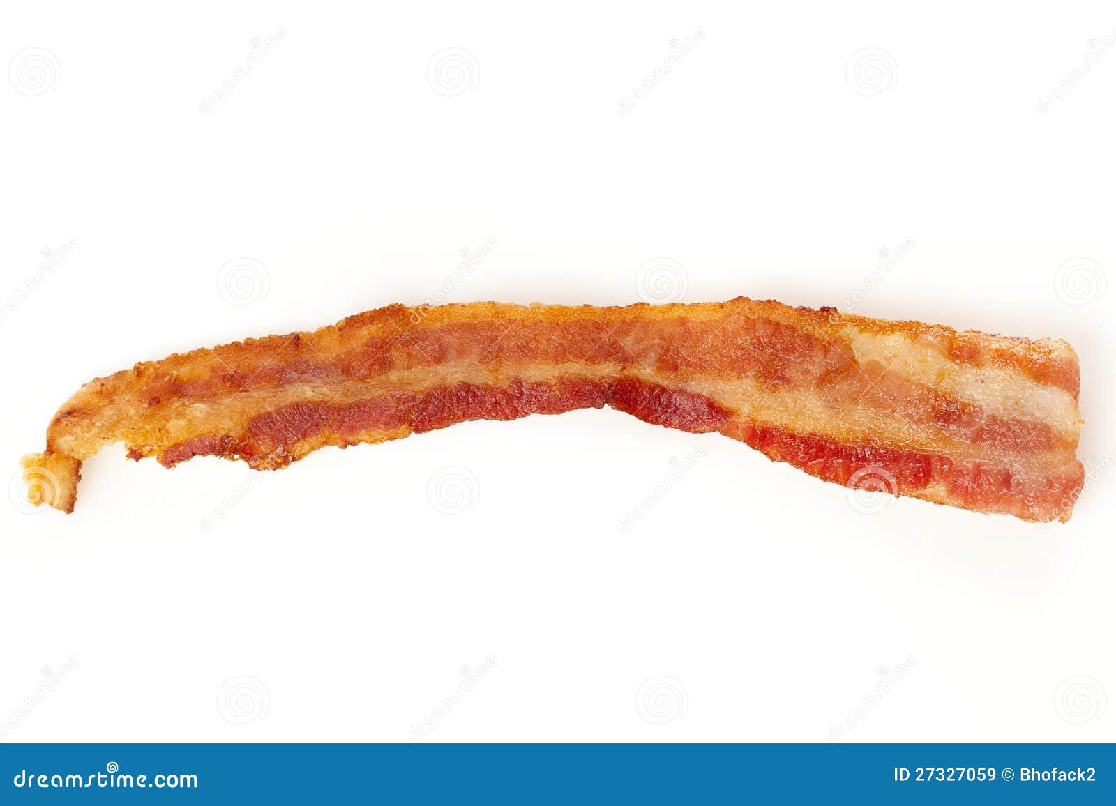 Cooked Greasy Bacon stock image. Image of meat, closeup - 27327059