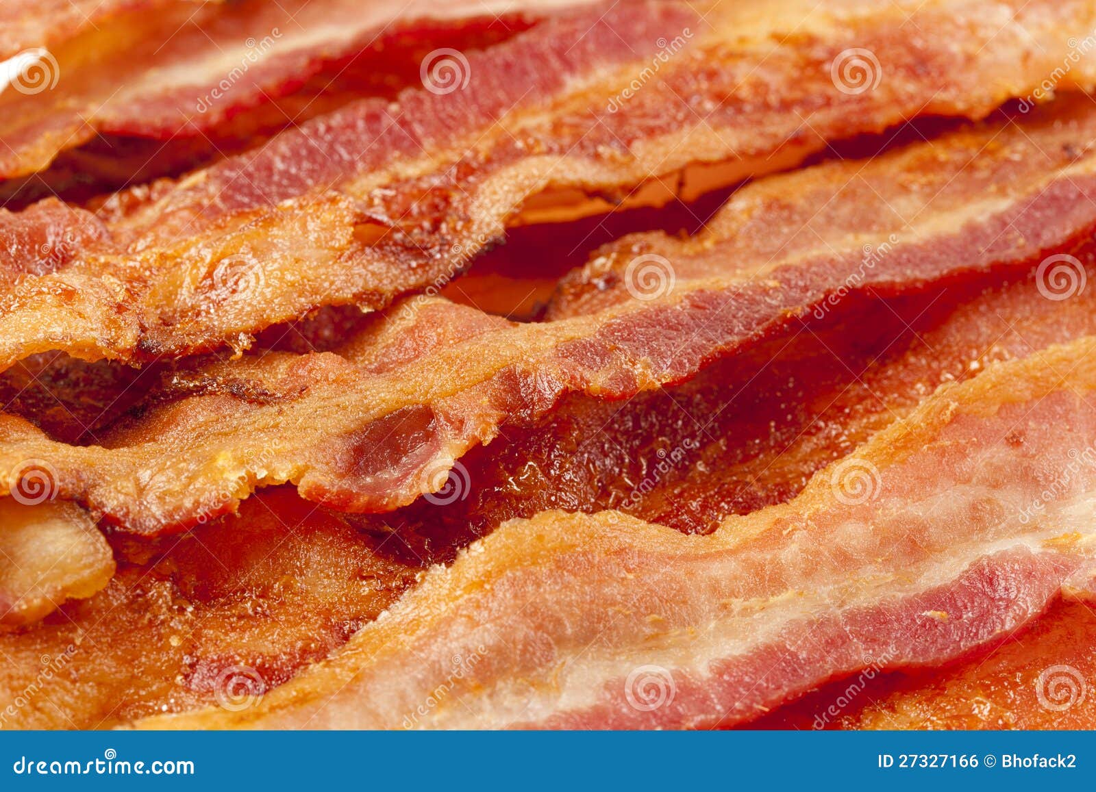 Cooked Greasy Bacon stock photo. Image of sliced, food - 27327166