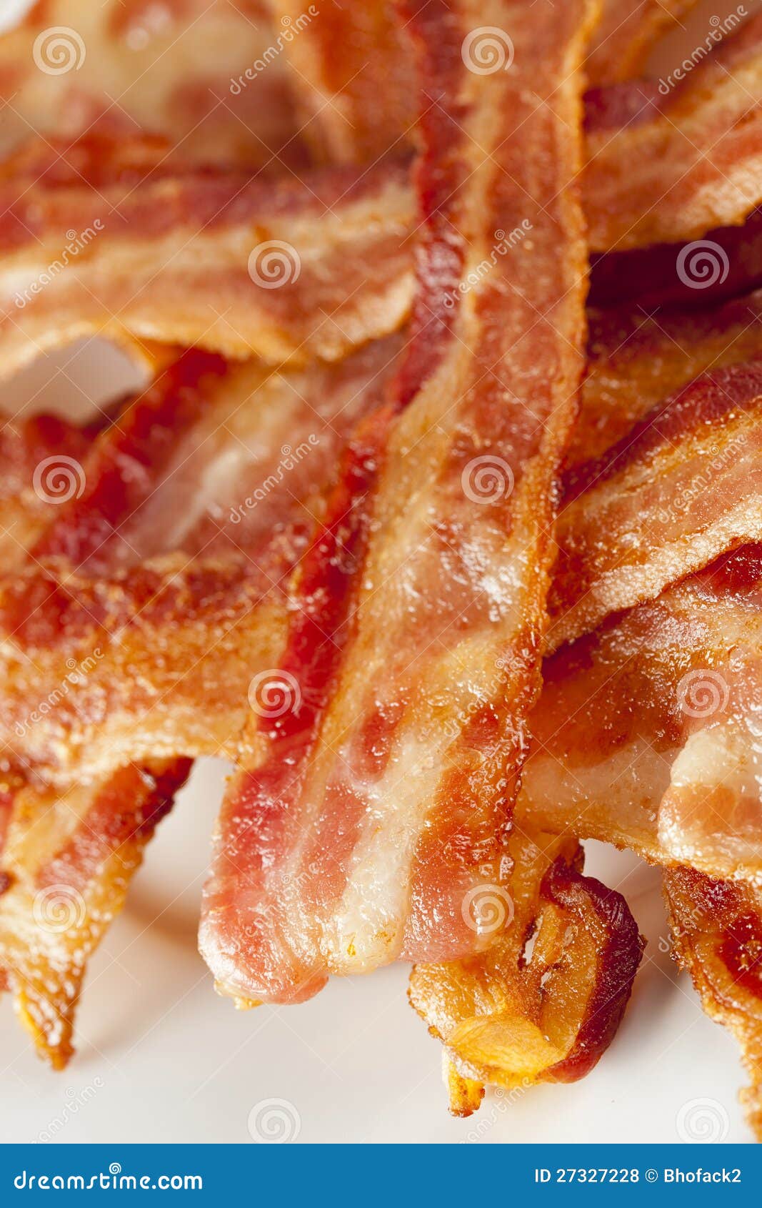 Cooked Greasy Bacon stock photo. Image of meal, greasy - 27327228