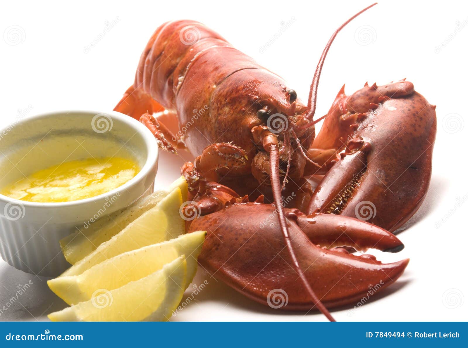 Cooked Lobster with Butter and Lemon Wedges Stock Photo - Image of ...