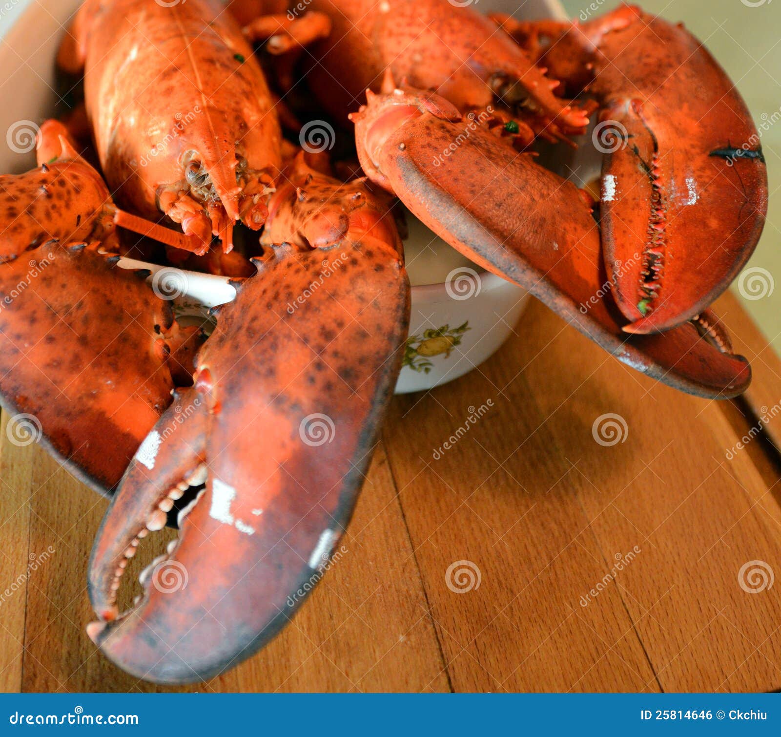 Cooked lobsters stock photo. Image of food, cuisine, dinner - 25814646