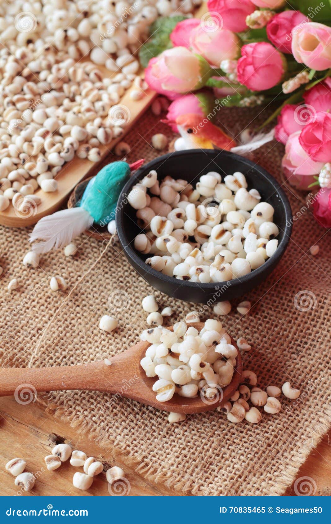 Cooked Millet Seeds and Dried Millet Seeds. Stock Image - Image of ...