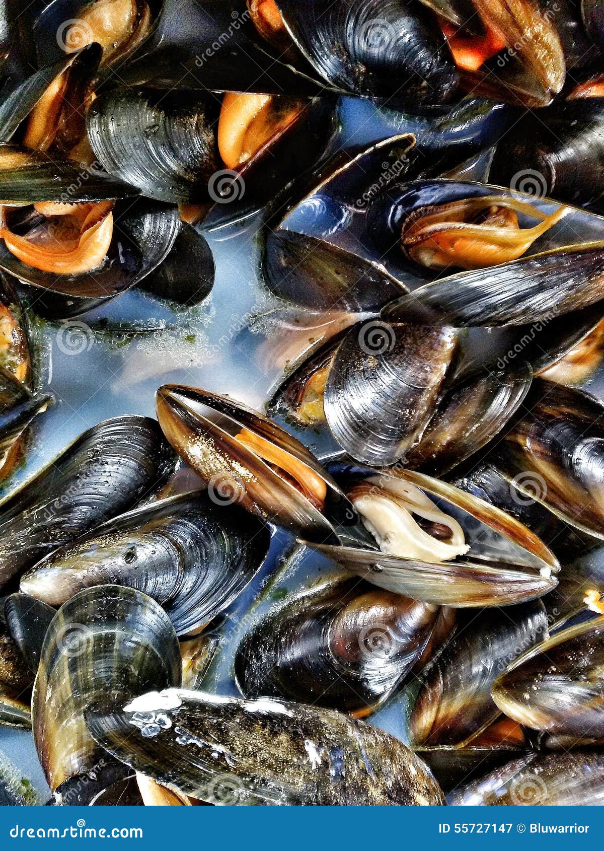 Cooked mussels stock image. Image of food, open, edible - 55727147