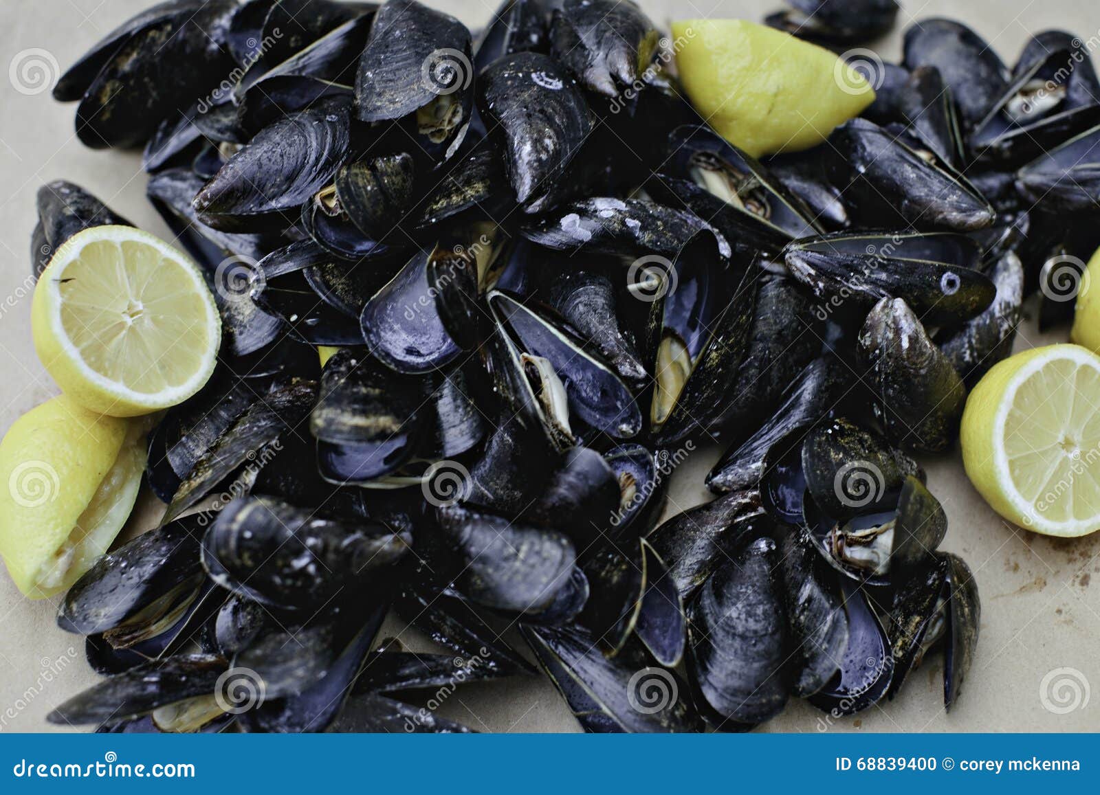 Cooked mussels stock photo. Image of fresh, mussels, seafood - 68839400