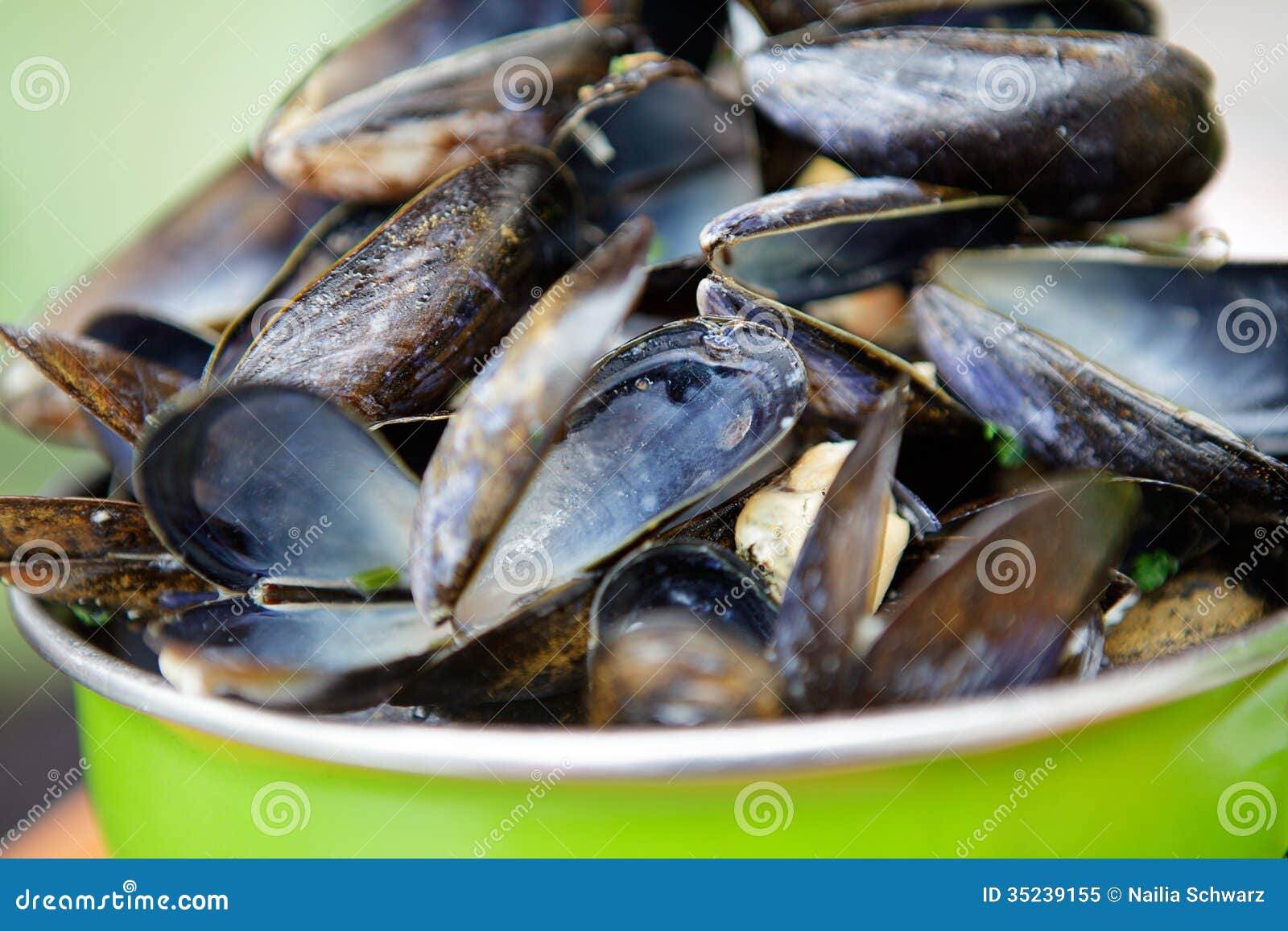 Cooked Mussels stock image. Image of stilllife, retro - 35239155
