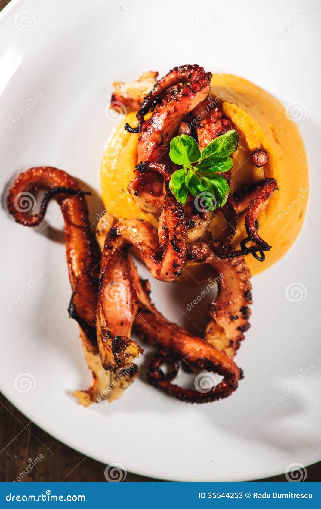 Cooked octopus stock image. Image of food, overhead, cuisine - 35544253