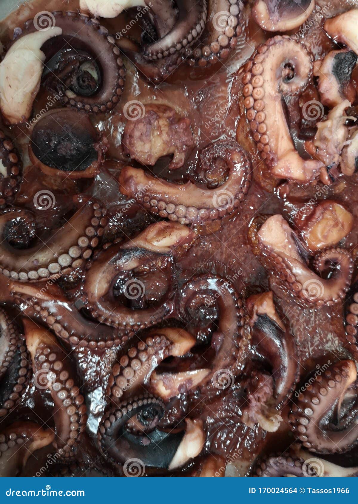 Cooked octopus, Greece stock photo. Image of gourmet - 170024564