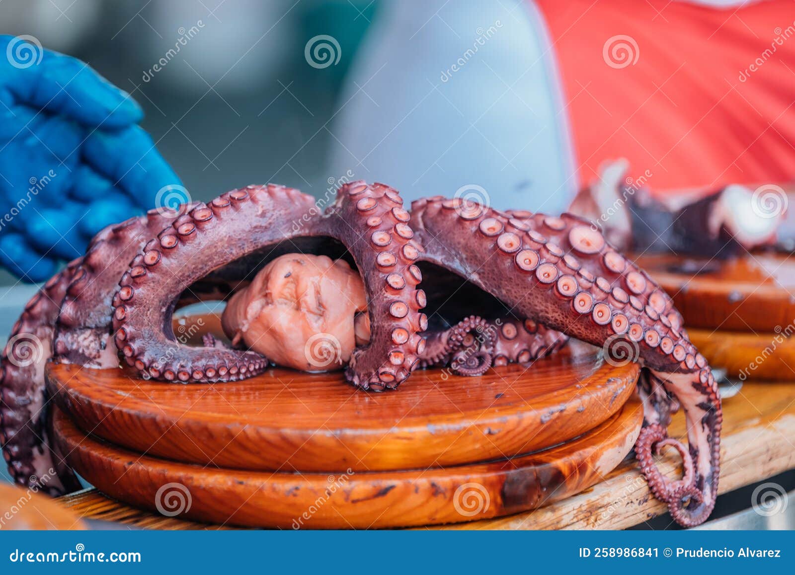 Octopus at a typical fair stock image. Image of seafood - 258986841