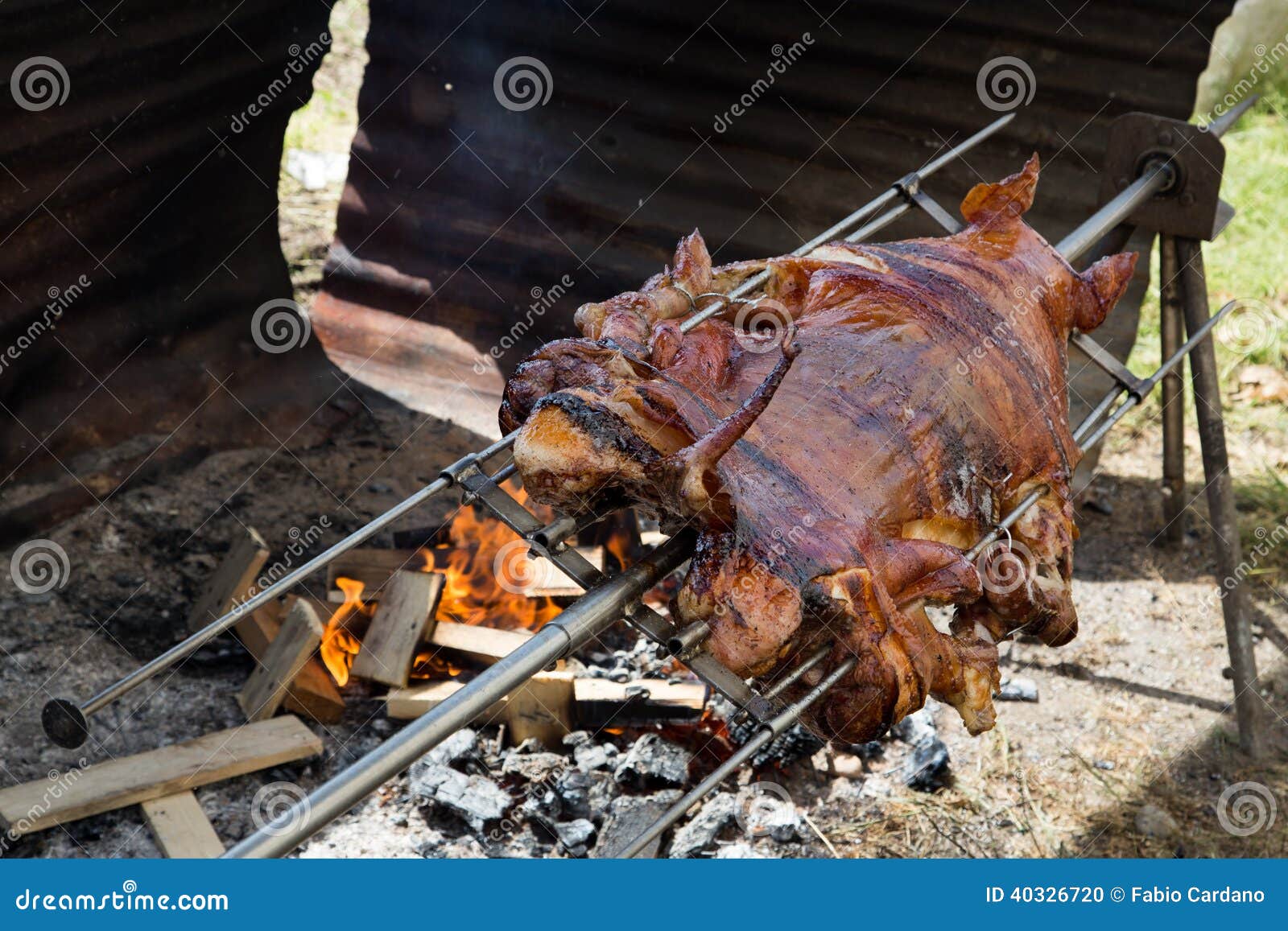 Cooked pig stock photo. Image of cook, fire, roasted - 40326720