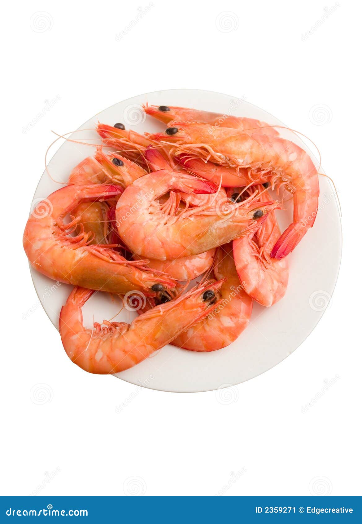 Cooked prawns stock image. Image of lunch, prawn, plate - 2359271