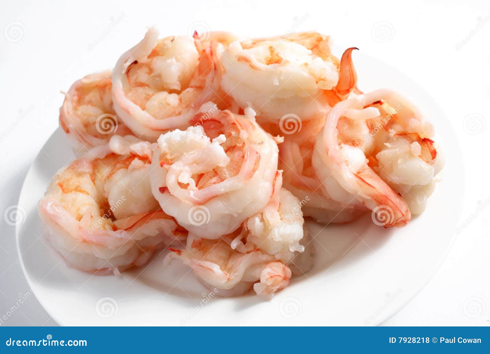 Cooked prawns on a plate stock photo. Image of prawn, seafood - 7928218