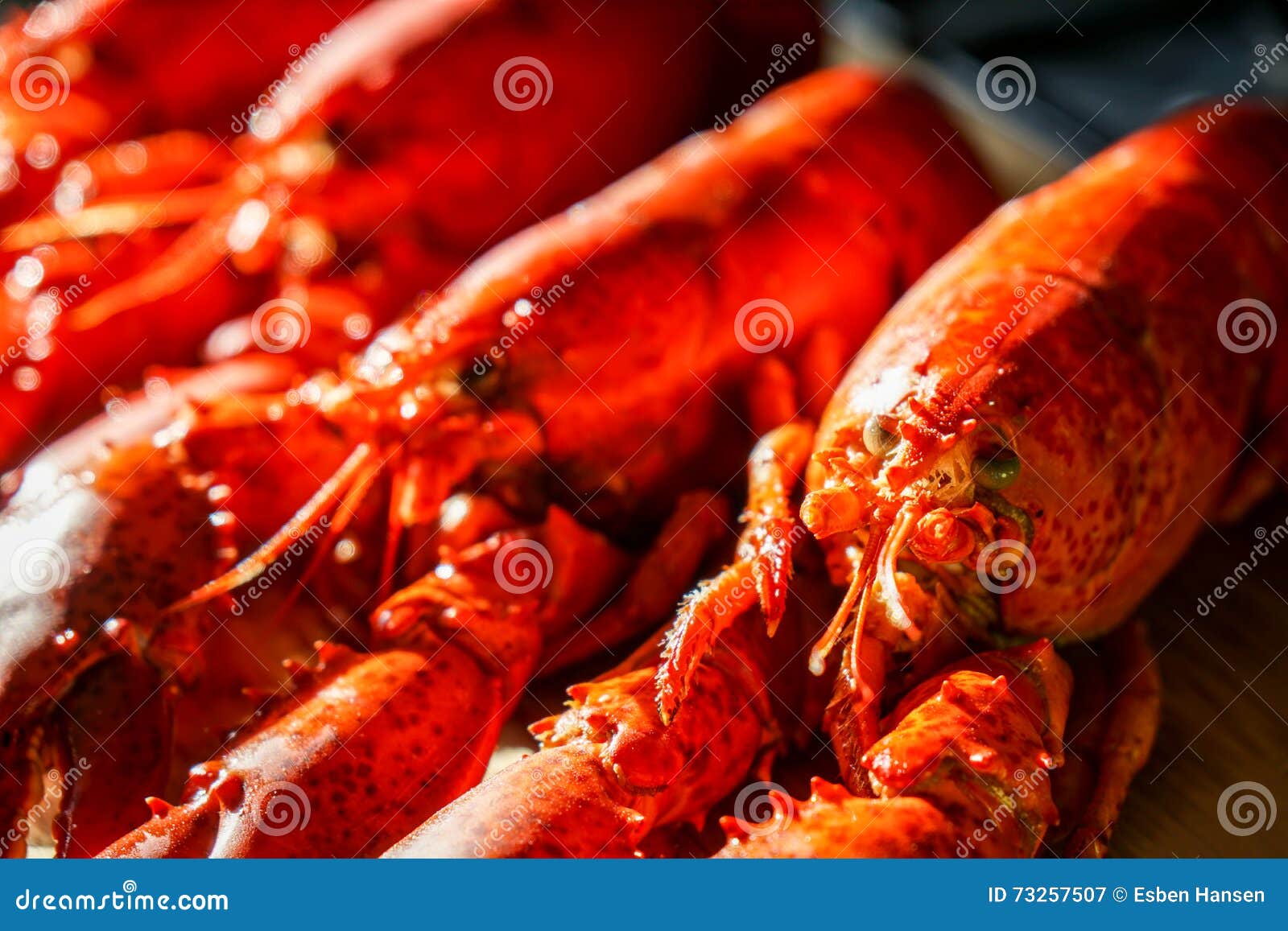 Cooked red Lobsters stock image. Image of exotic, ornate - 73257507
