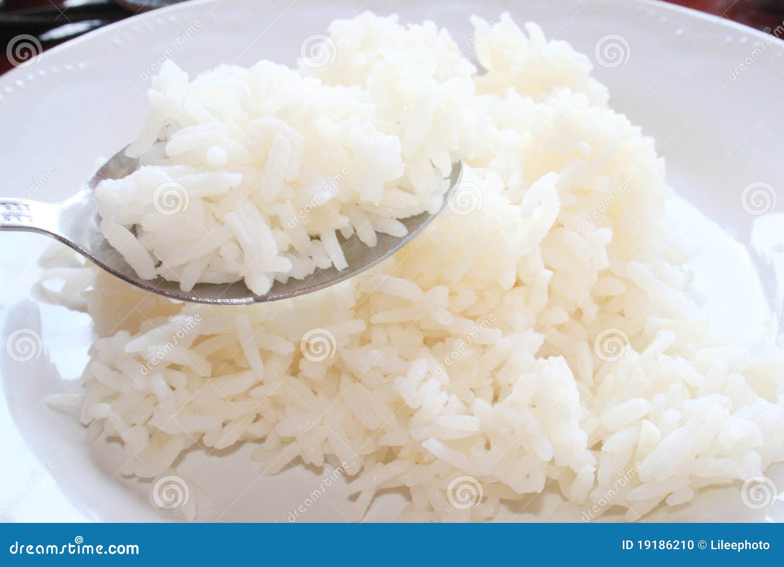 Cooked rice on a dish stock photo. Image of rice, nature - 19186210