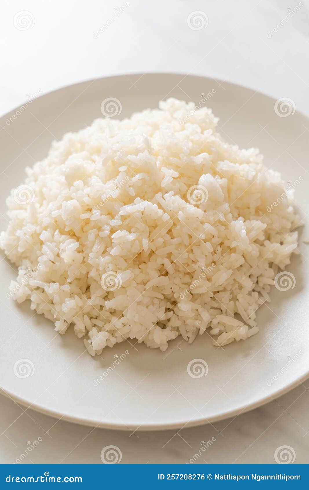 Cooked rice on plate stock photo. Image of isolated - 257208276